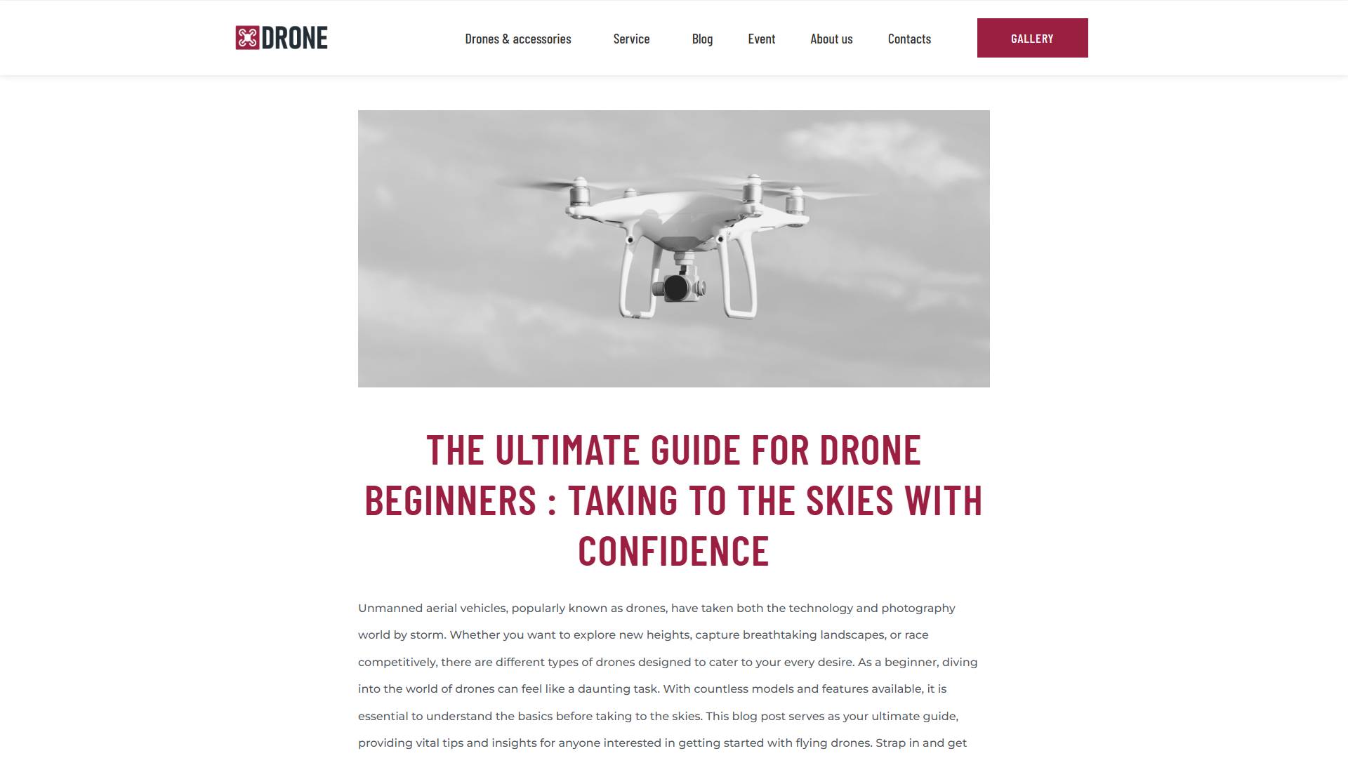 Drones in Thailand - Bremic